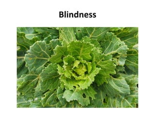 Physiological disorder of cole crops.pptx