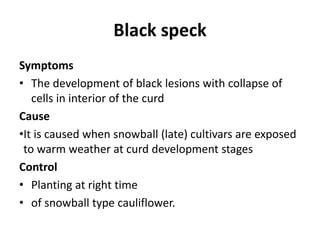 Physiological disorder of cole crops.pptx