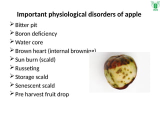 Physiological disorder Apple, the impotyant physiological disorders and ...