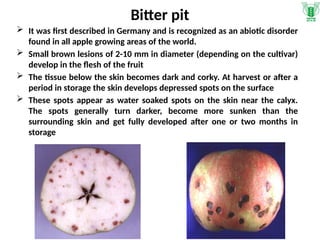 Physiological disorder Apple, the impotyant physiological disorders and ...