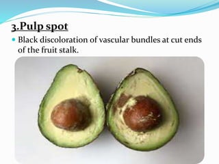 Physiological disorder of avocado | PPTX
