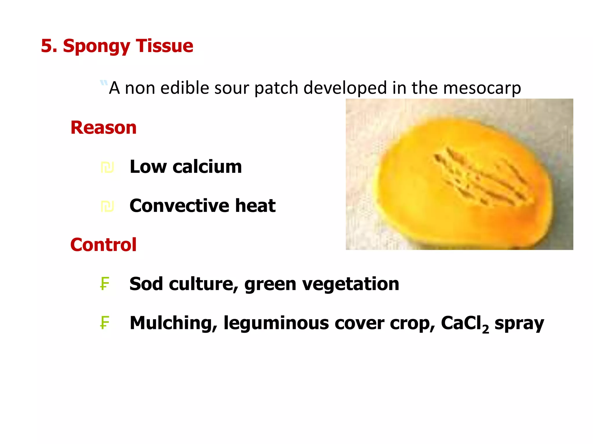 Physiological disorder of fruits.pptx