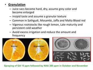 Physiological disorder of fruits.pptx