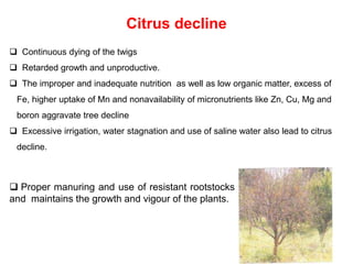 Physiological disorder of fruits.pptx