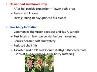 Physiological disorder of fruits.pptx