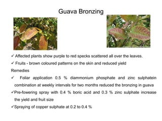 Physiological disorder of fruits.pptx