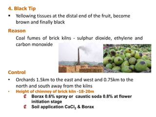 Physiological disorder of fruits.pptx