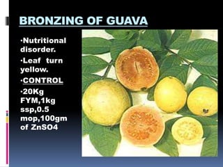 Physiological disorders | PPTX