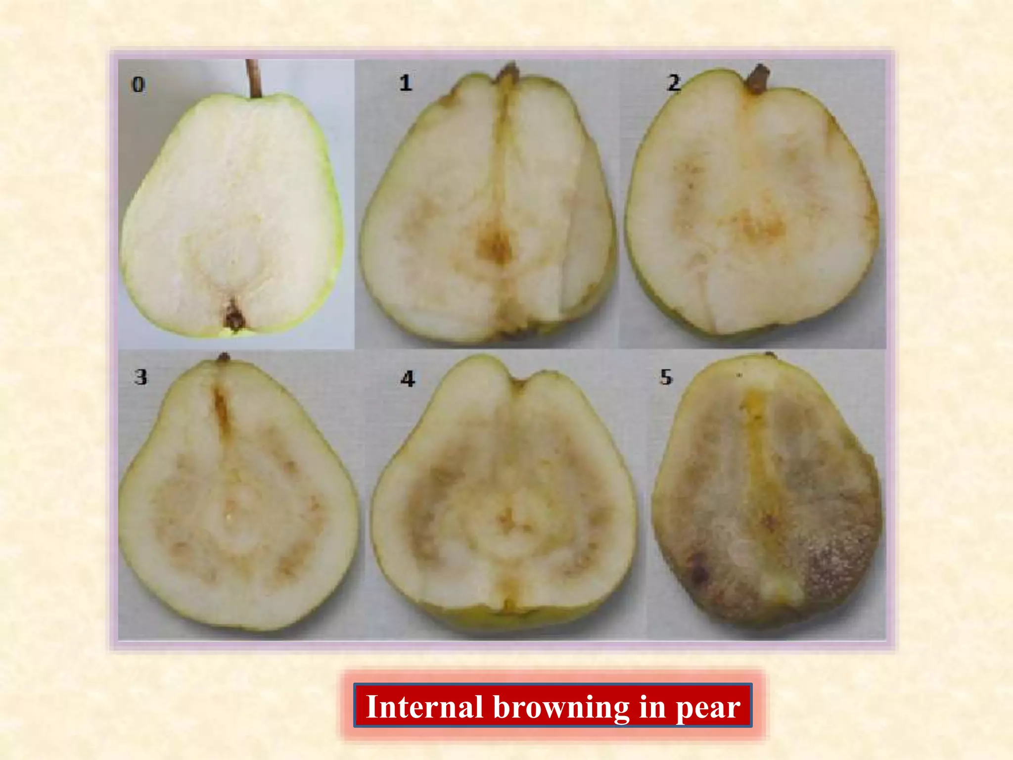 Physiological disorders of temperate and subtropical fruit crops | PPTX