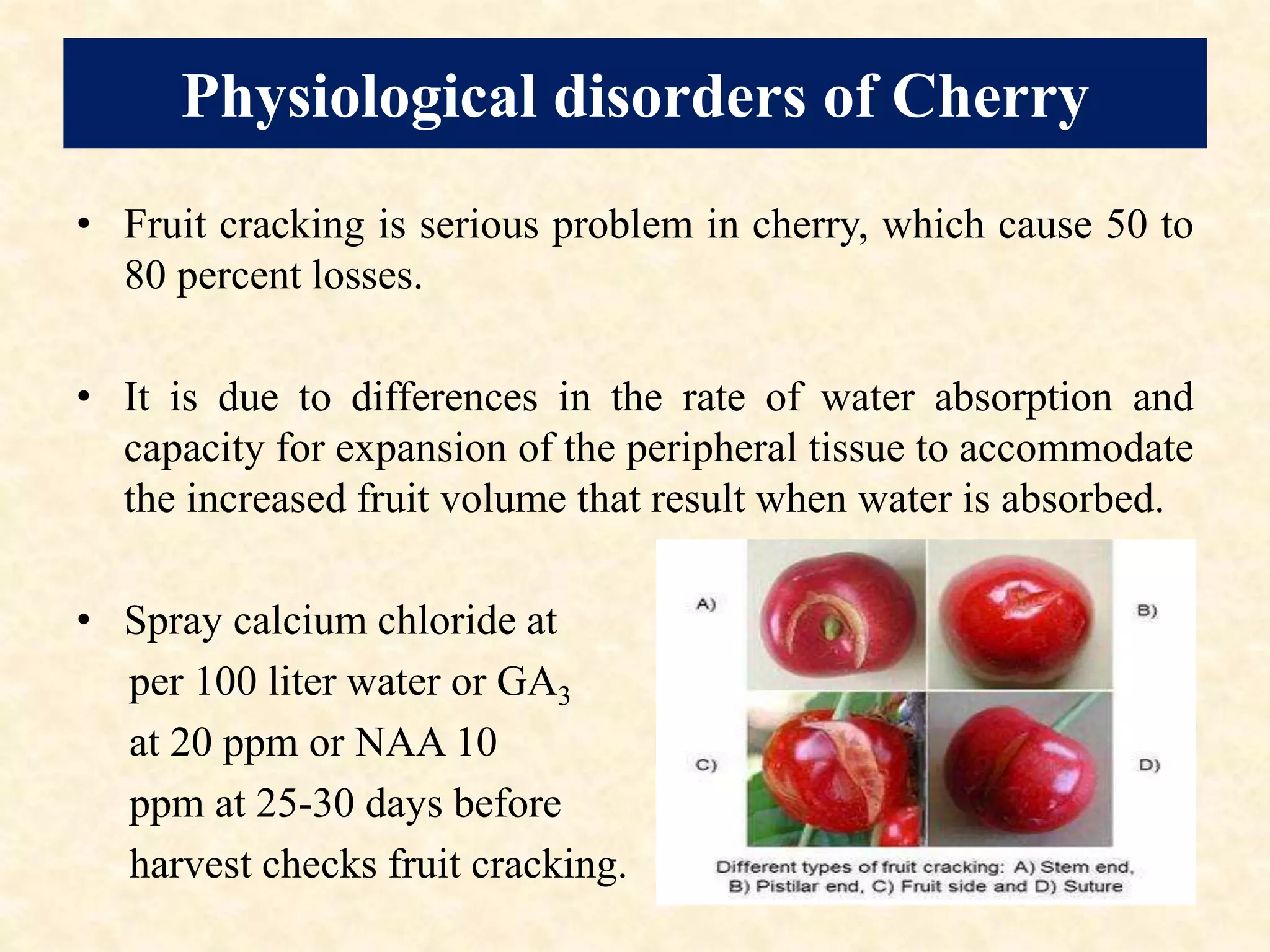Physiological disorders of temperate and subtropical fruit crops | PPTX
