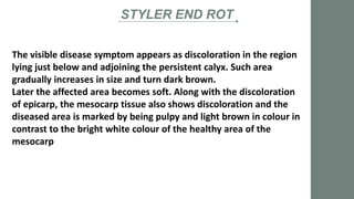 PHYSIOLOGICAL DISORDERS OF FRUITS | PPTX