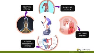 physiological effects of exercises[1].pptx
