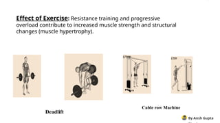 physiological effects of exercises[1].pptx