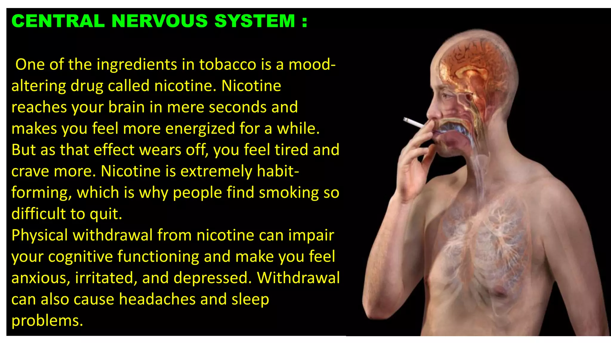 Physiological effects of smoking on the respiratory system & all other ...