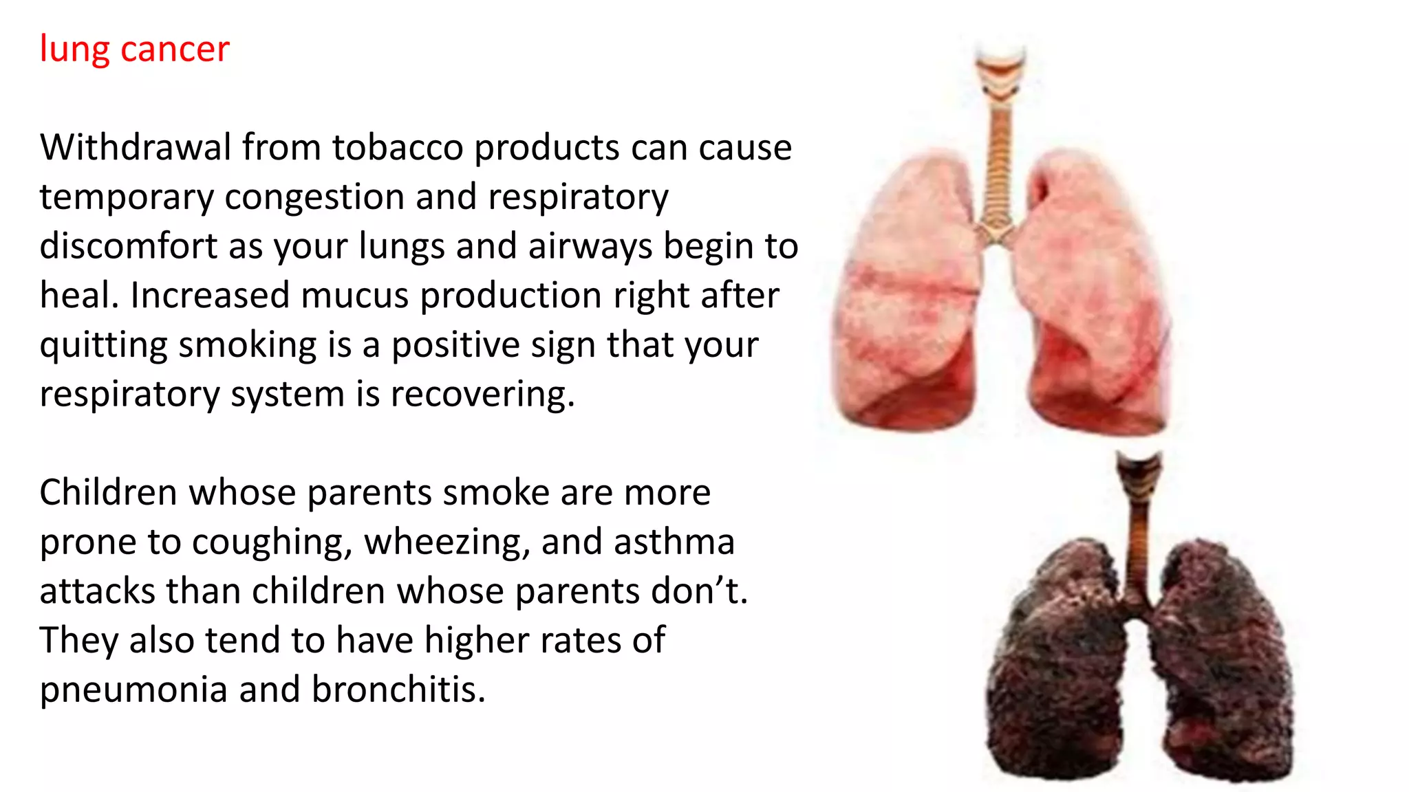 Physiological effects of smoking on the respiratory system & all other ...