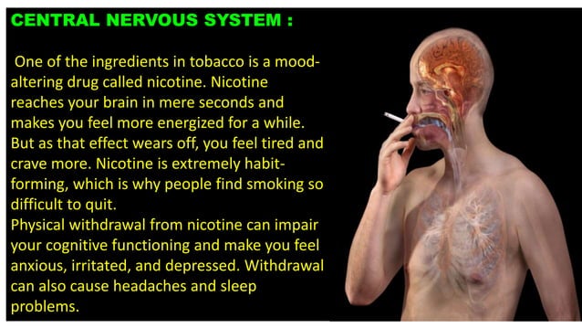 Physiological effects of smoking on the respiratory system & all other ...