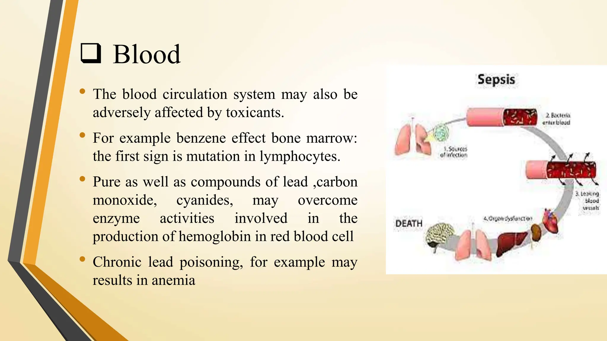 physiological effects of toxicants.pptx