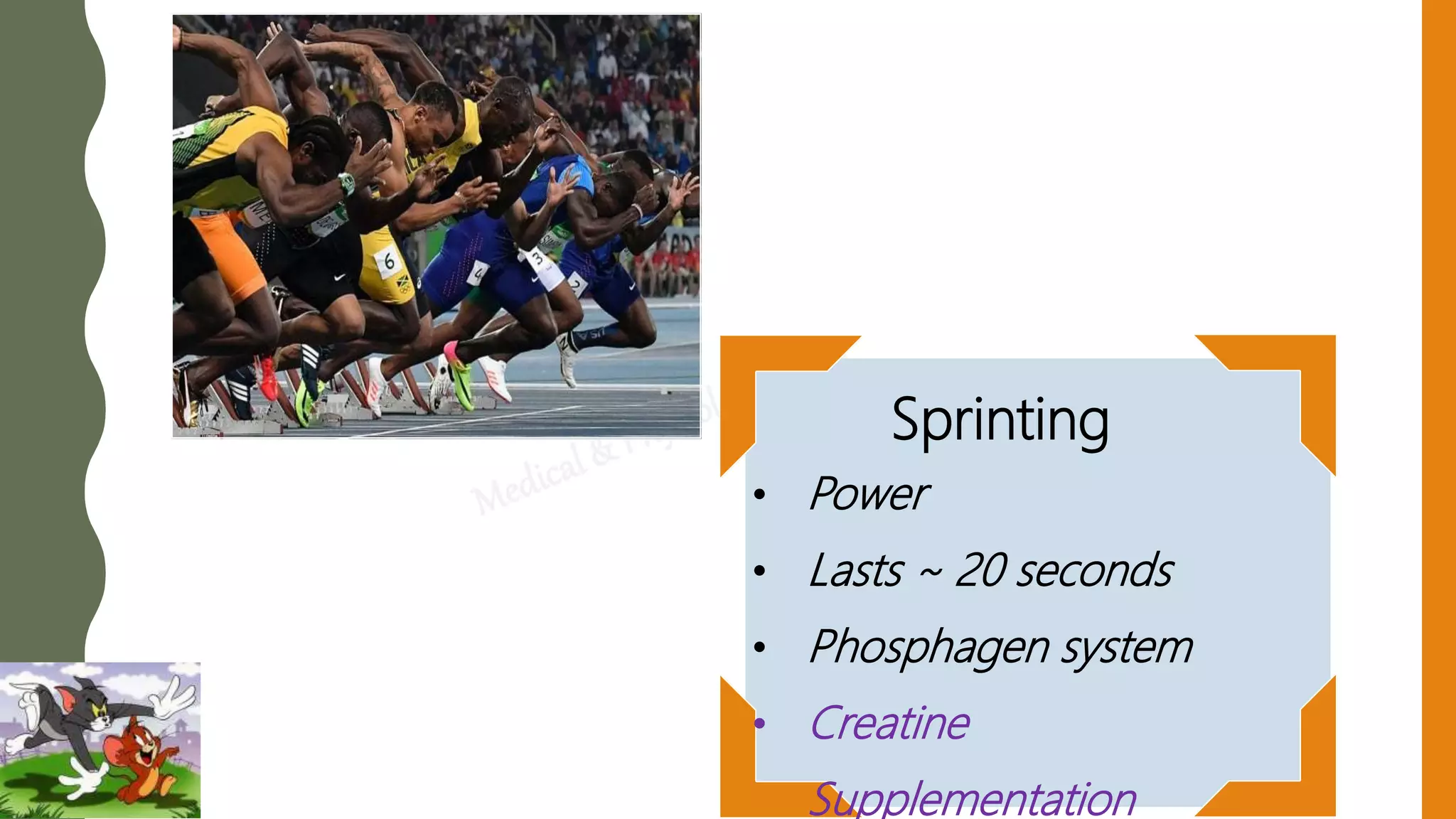 Physiological energy source in sports | PPTX