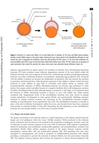 Physiological factors in fertility of birds.pdf | Infertility ...