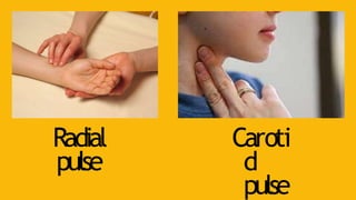 Physiological Indicators Associated with Moderate and Vigorous ...