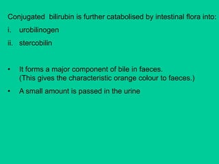 PHYSIOLOGICAL JAUNDICE.ppt