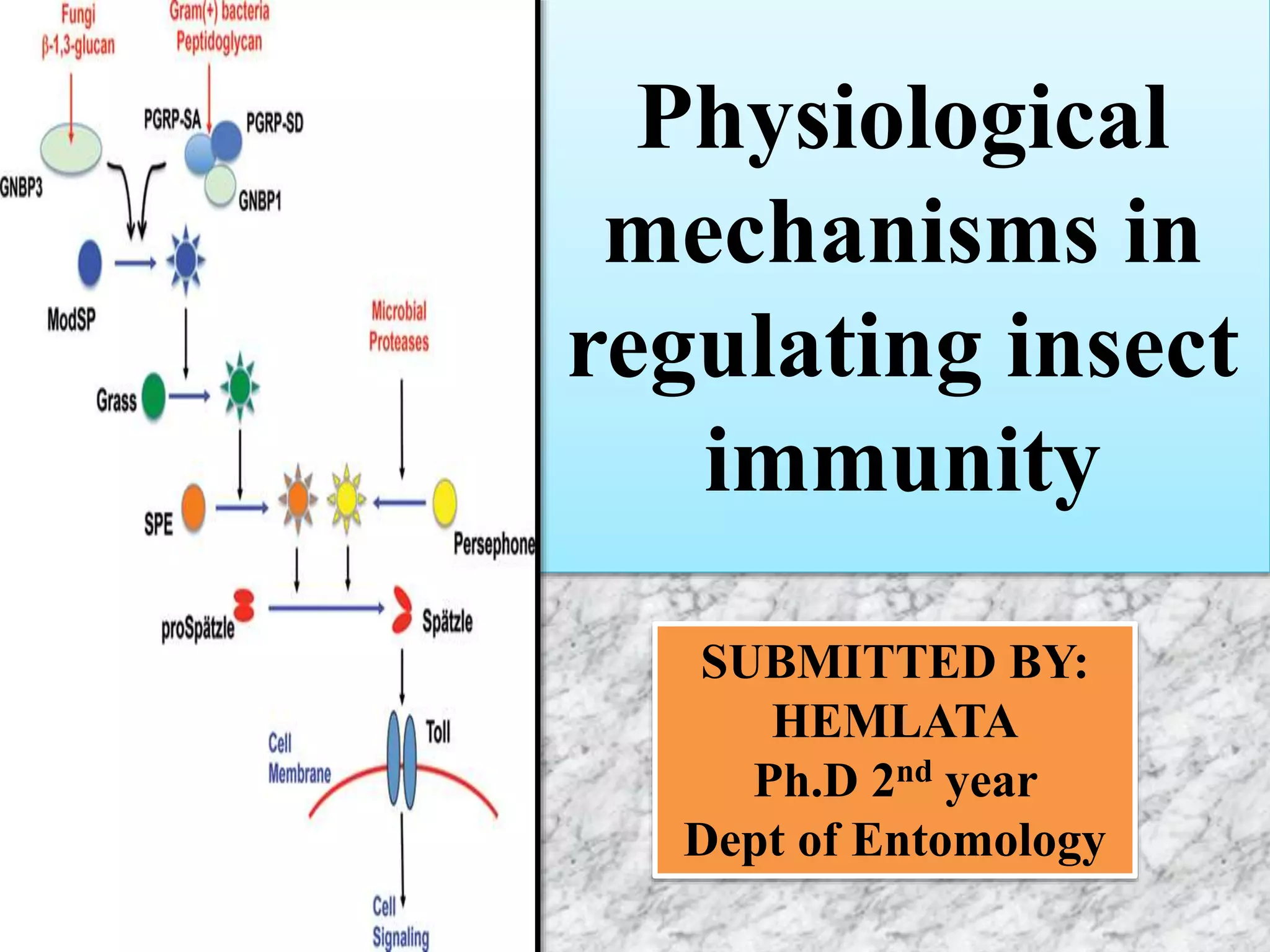 Physiological mechanisms in regulating insect immunity | PPTX ...