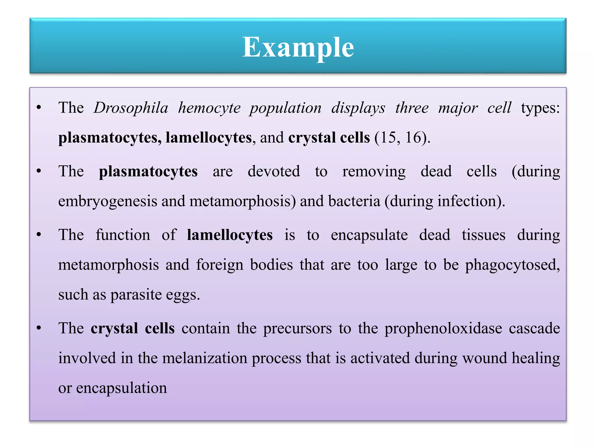 Physiological mechanisms in regulating insect immunity | PPTX ...