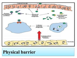 Physiological mechanisms in regulating insect immunity | PPTX
