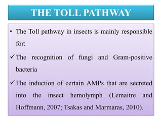 Physiological mechanisms in regulating insect immunity | PPTX