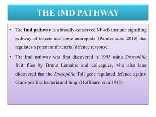 Physiological mechanisms in regulating insect immunity | PPTX