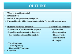 Physiological mechanisms in regulating insect immunity | PPTX