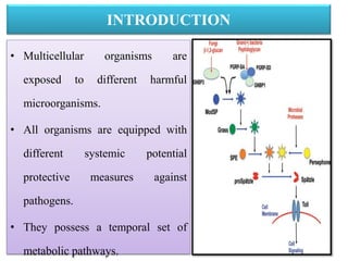 Physiological mechanisms in regulating insect immunity | PPTX