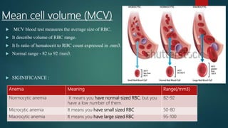 physiological parameters.pptx