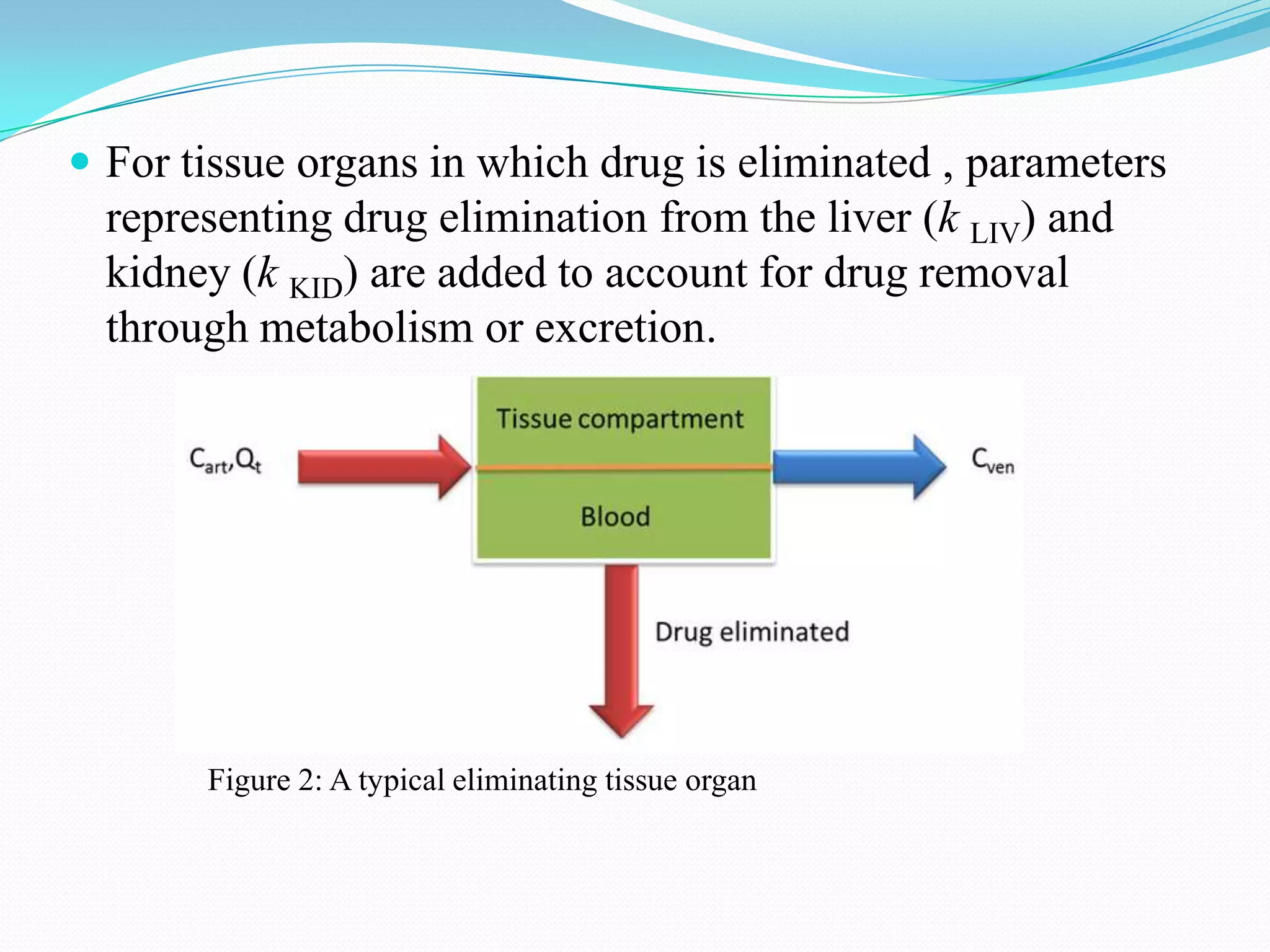 Physiological pharmacokinetic models | PPTX