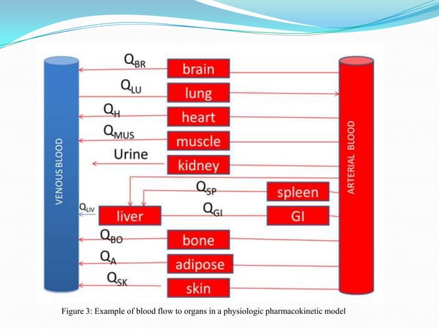 Physiological pharmacokinetic models | PPTX