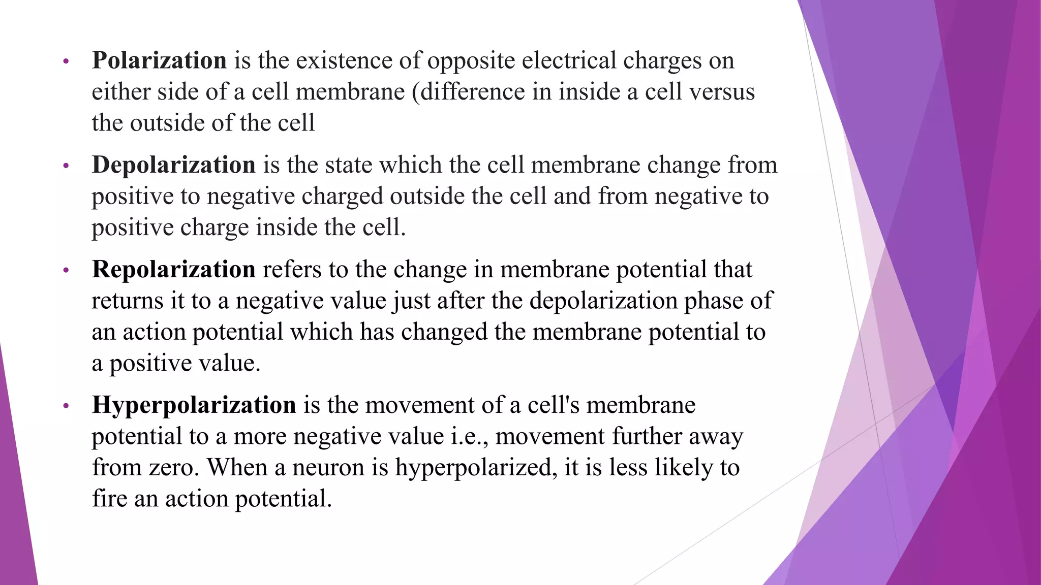 NEURAL TRANSMISSION ppt | PPTX