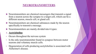 NEURAL TRANSMISSION ppt | PPTX