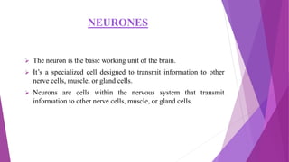 NEURAL TRANSMISSION ppt | PPTX