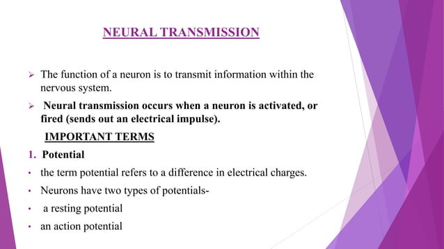 NEURAL TRANSMISSION ppt | PPTX