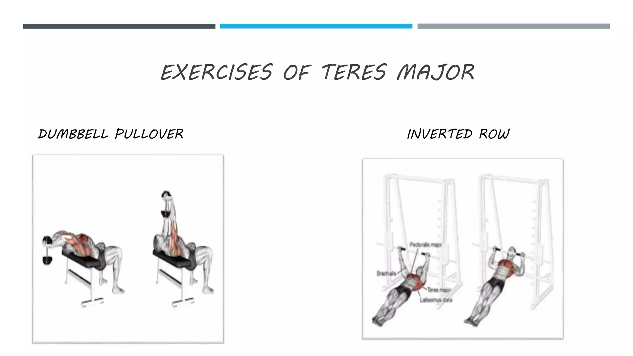 Physiological qualities of movements.... | PPTX