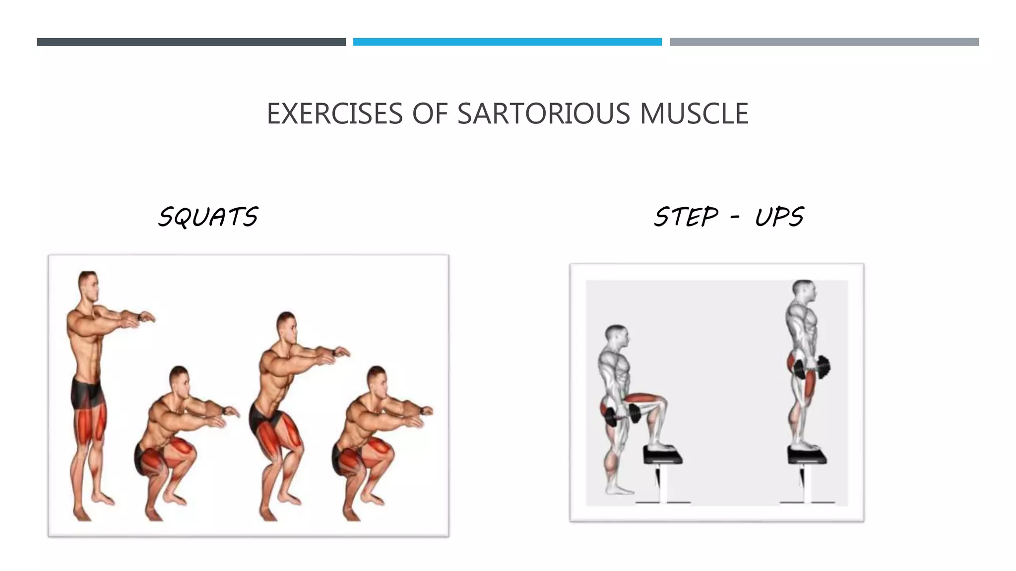 Physiological qualities of movements.... | PPTX