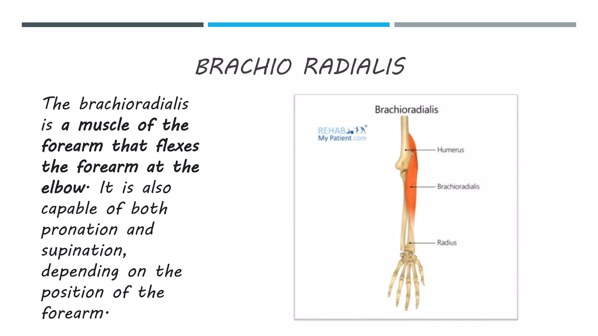 Physiological qualities of movements.... | PPTX