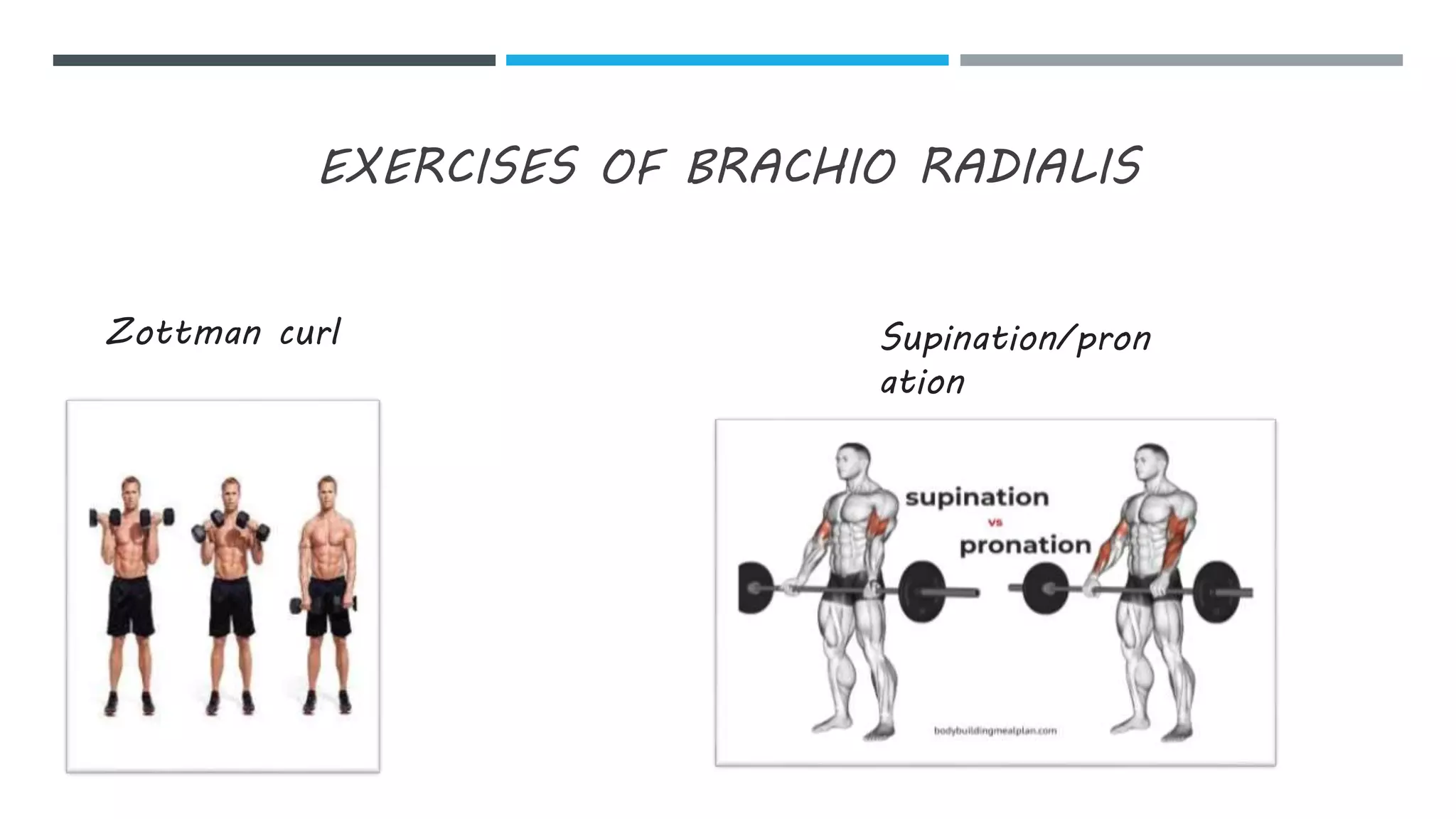 Physiological qualities of movements.... | PPTX