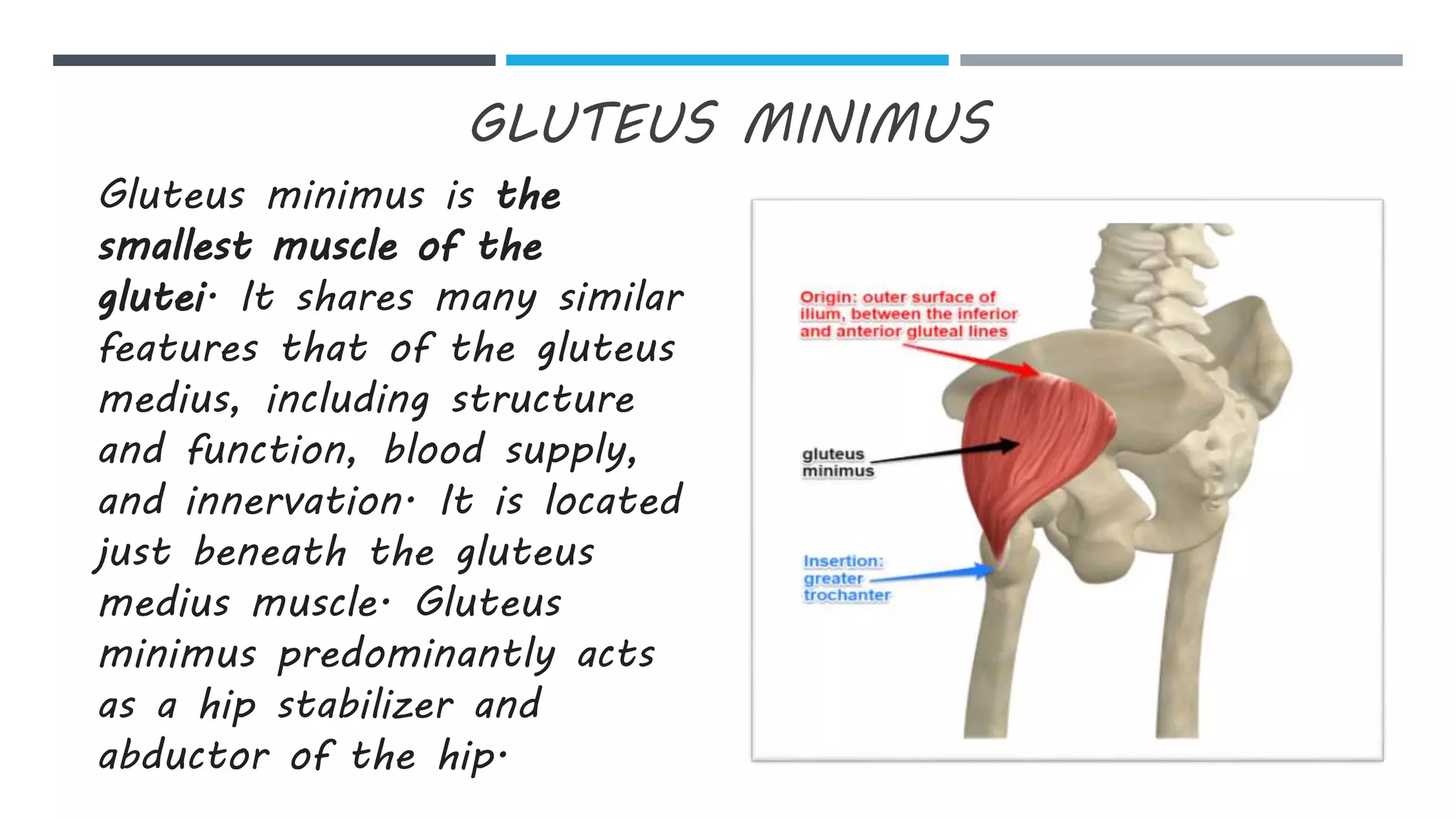 Physiological qualities of movements.... | PPTX