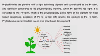 Physiological response of crop plants | PPTX
