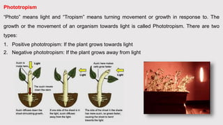 Physiological response of crop plants | PPTX