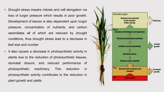 Physiological response of crop plants | PPTX