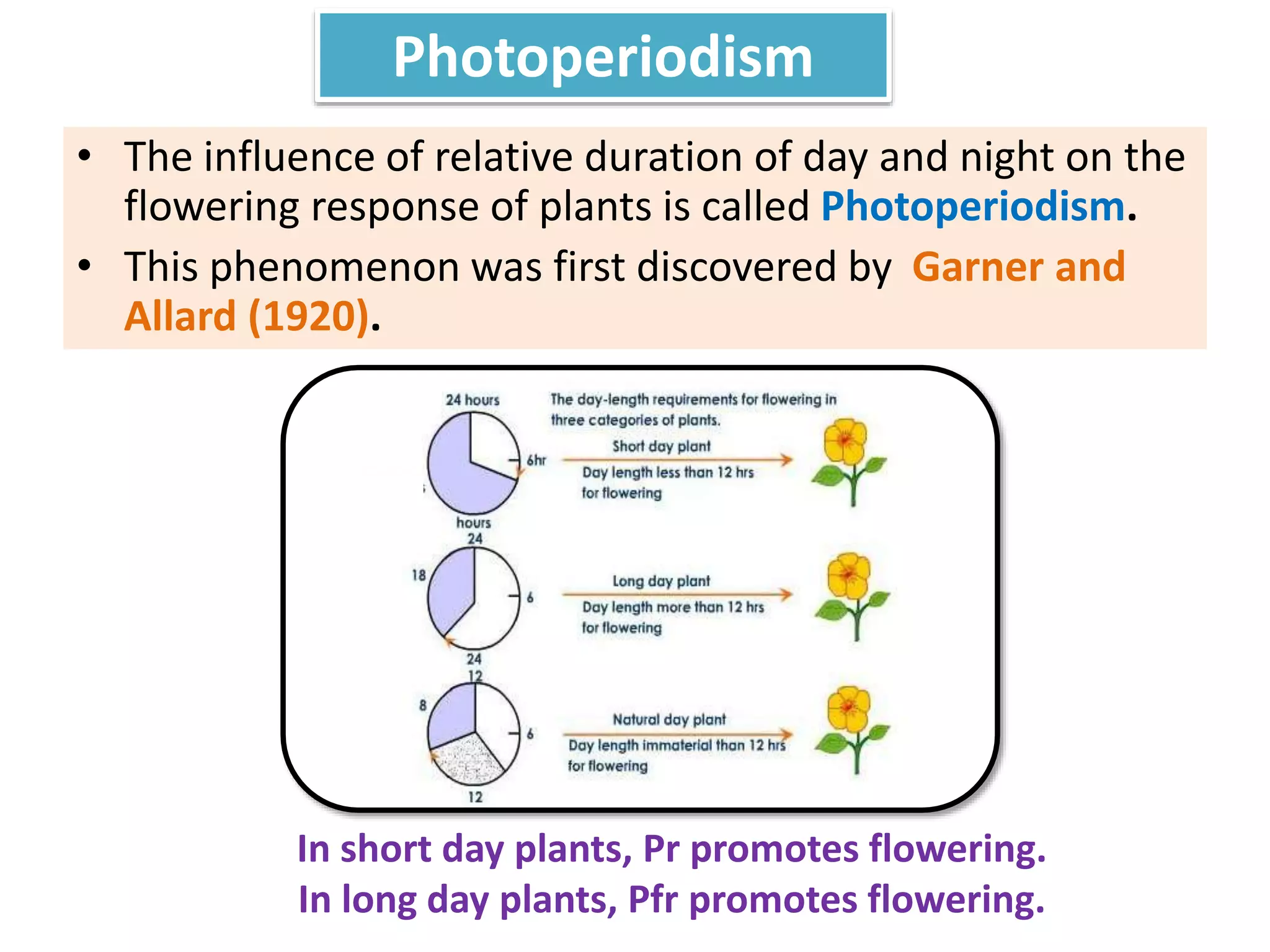 Physiological responses of crops to light and moisture | PPTX