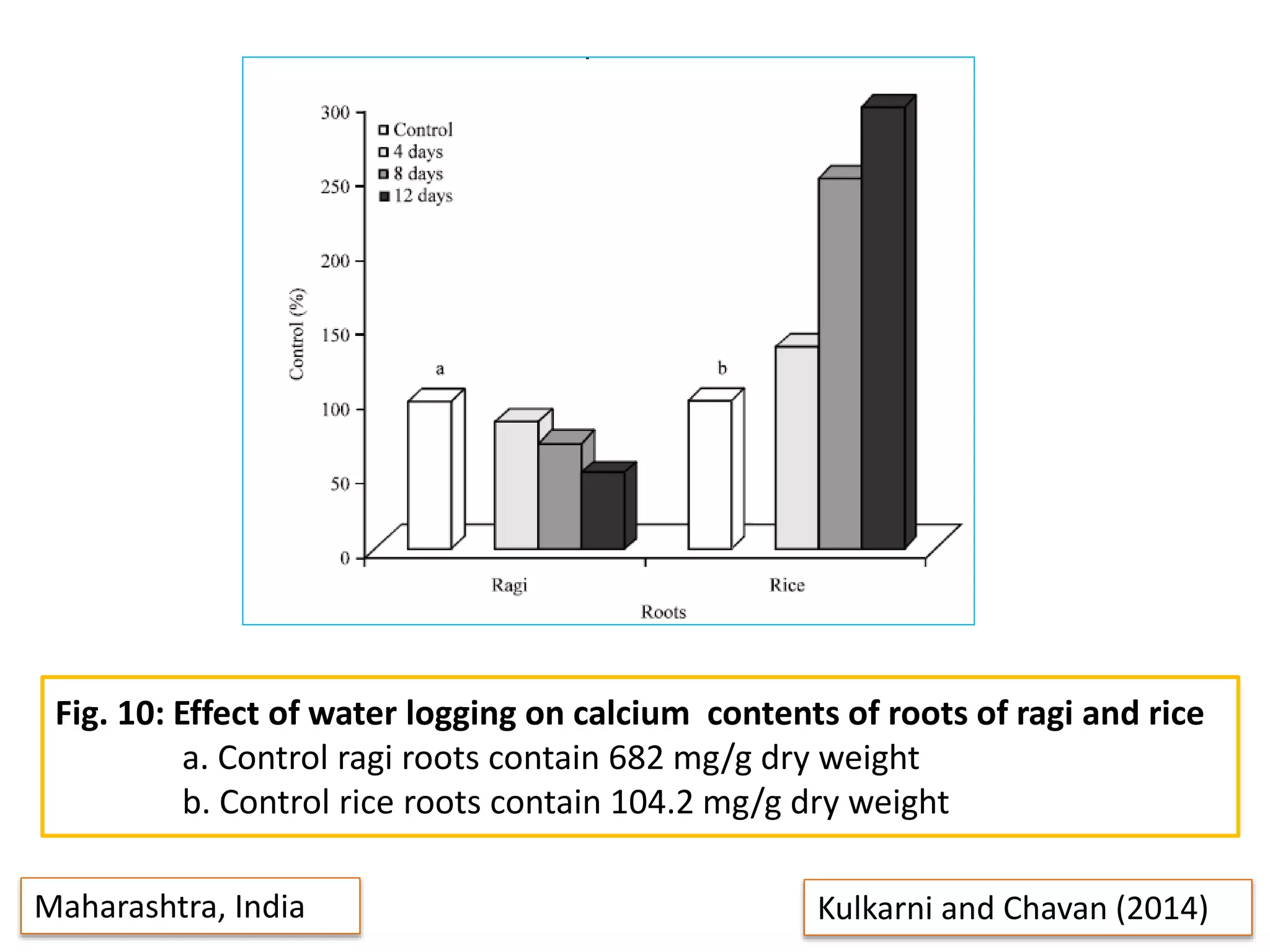 Physiological responses of crops to light and moisture | PPTX
