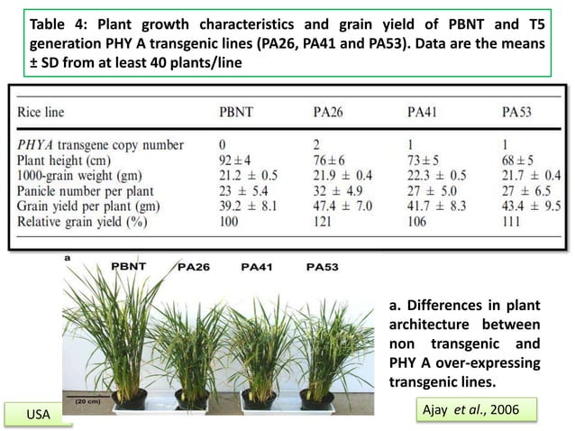 Physiological responses of crops to light and moisture | PPTX ...